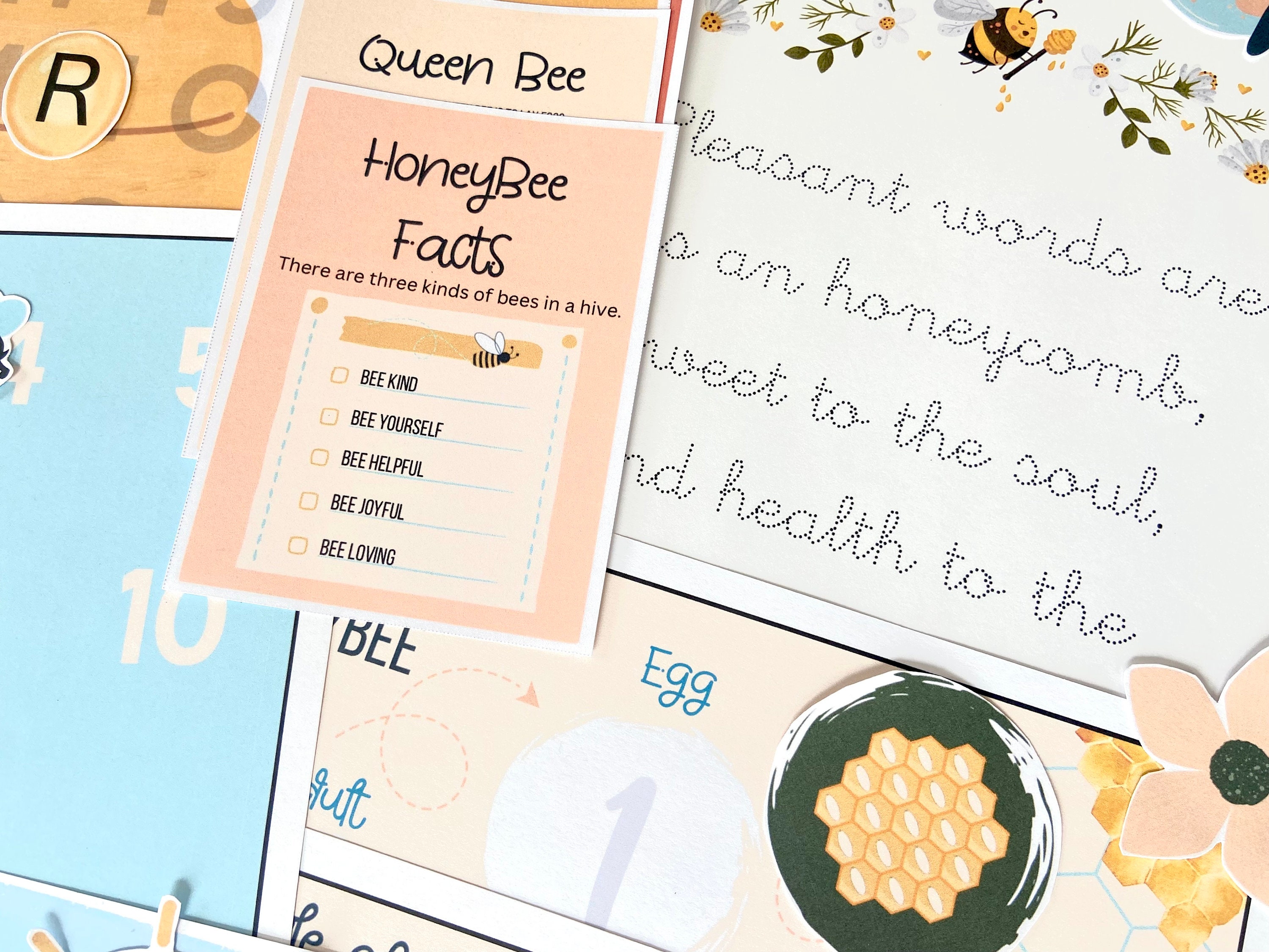 Bee Study | Honeybee Study | Bee Activities | Honeybee Lesson | Bee ...