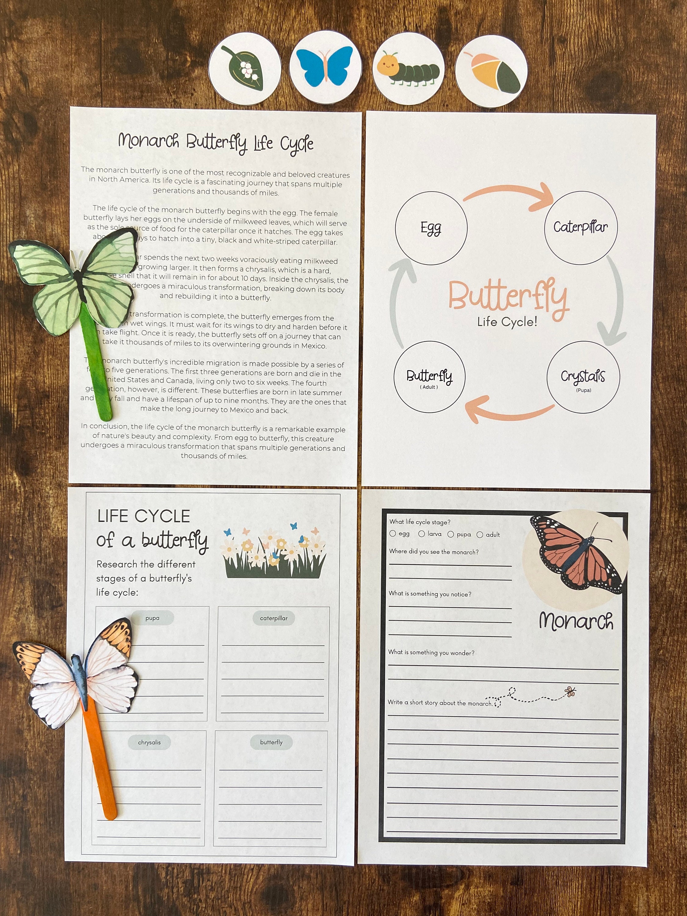 Butterfly Unit Study | Nature Study | Butterfly Life Cycle | Butterfly ...