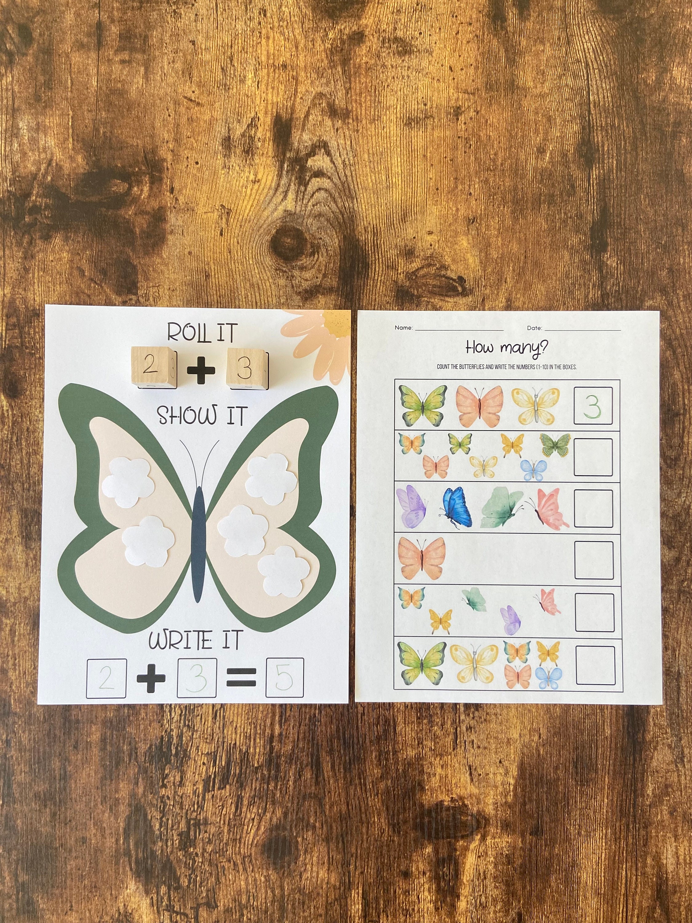 Butterfly Unit Study | Life Cycle, Anatomy, Flash Cards (digital ...