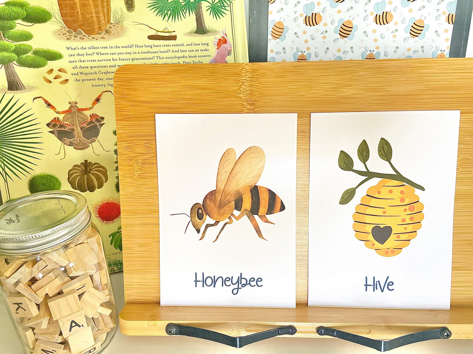Bee Flashcards Honeybee Flashcards Nature Flashcards Bee Study ...