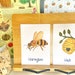 Bee Flashcards Honeybee Flashcards Nature Flashcards Bee Study ...
