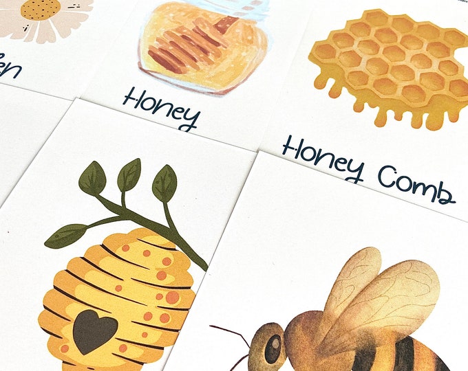 Bee Flashcards | Honeybee Flashcards | Nature Flashcards | Bee Study ...