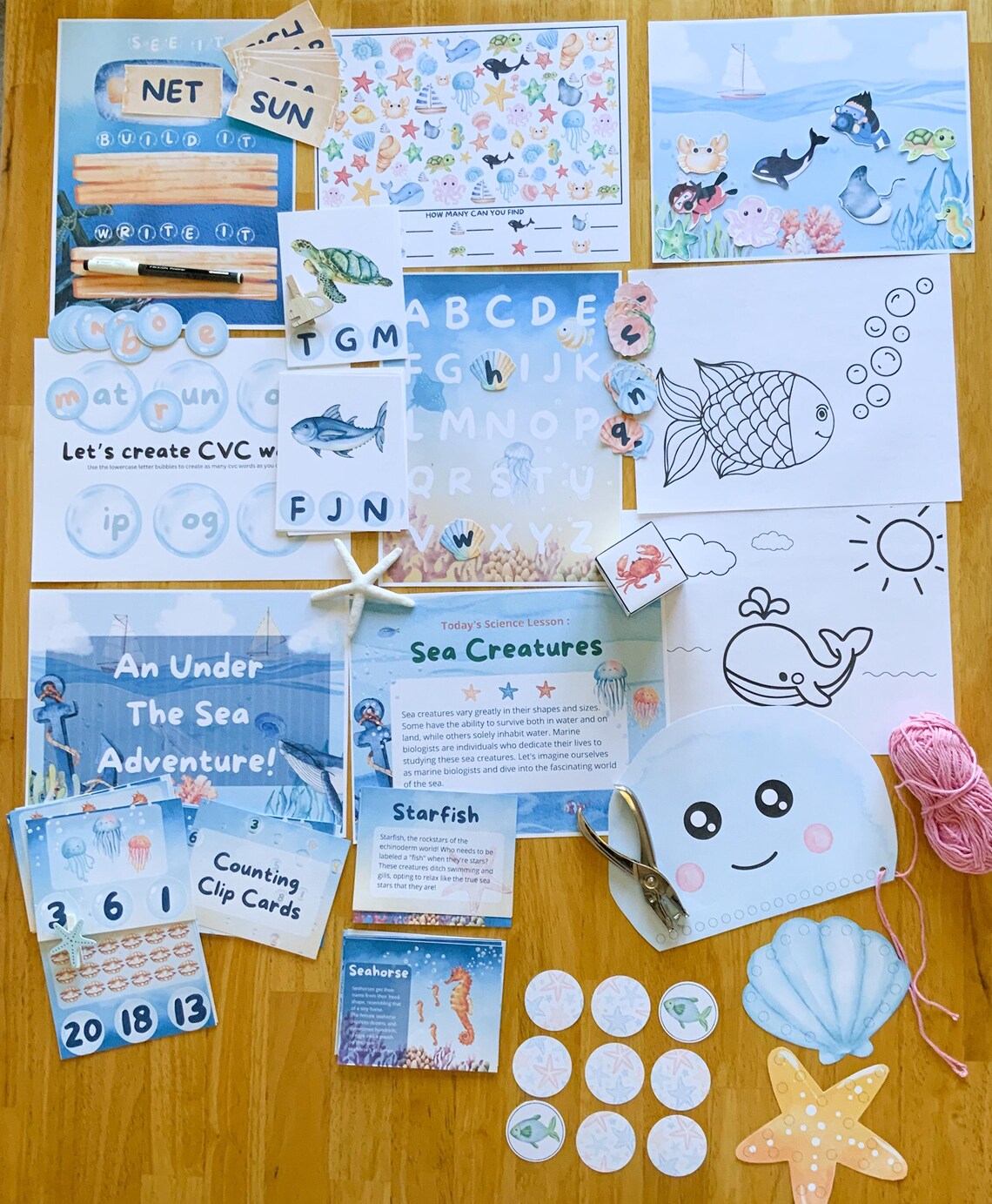 Oceanography Activities | Ocean Unit Study | Sea Animal Unit Study ...