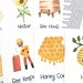 Bee Flashcards Honeybee Flashcards Nature Flashcards Bee Study ...