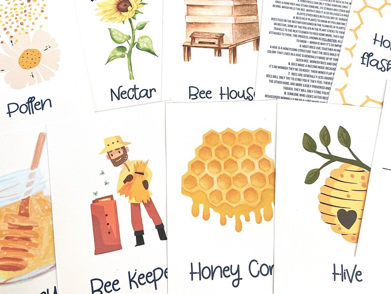 Bee Flashcards Honeybee Flashcards Nature Flashcards Bee Study ...