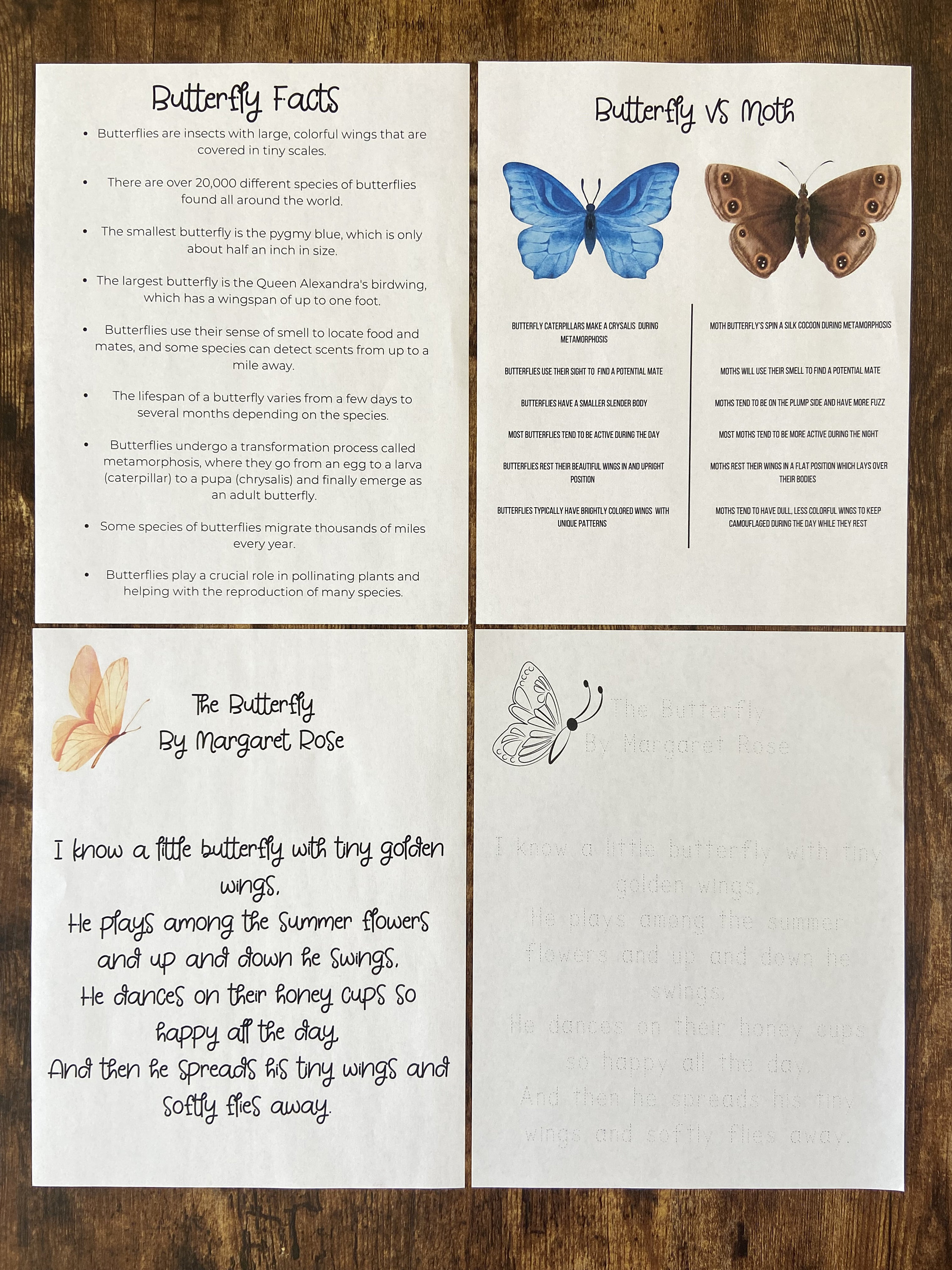 Butterfly Unit Study | Life Cycle, Anatomy, Flash Cards (digital ...
