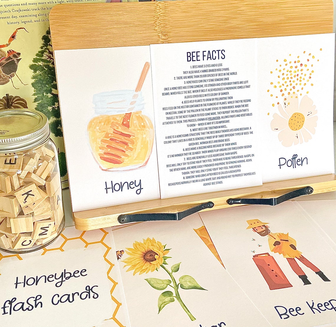 Bee Flashcards Honeybee Flashcards Nature Flashcards Bee Study ...