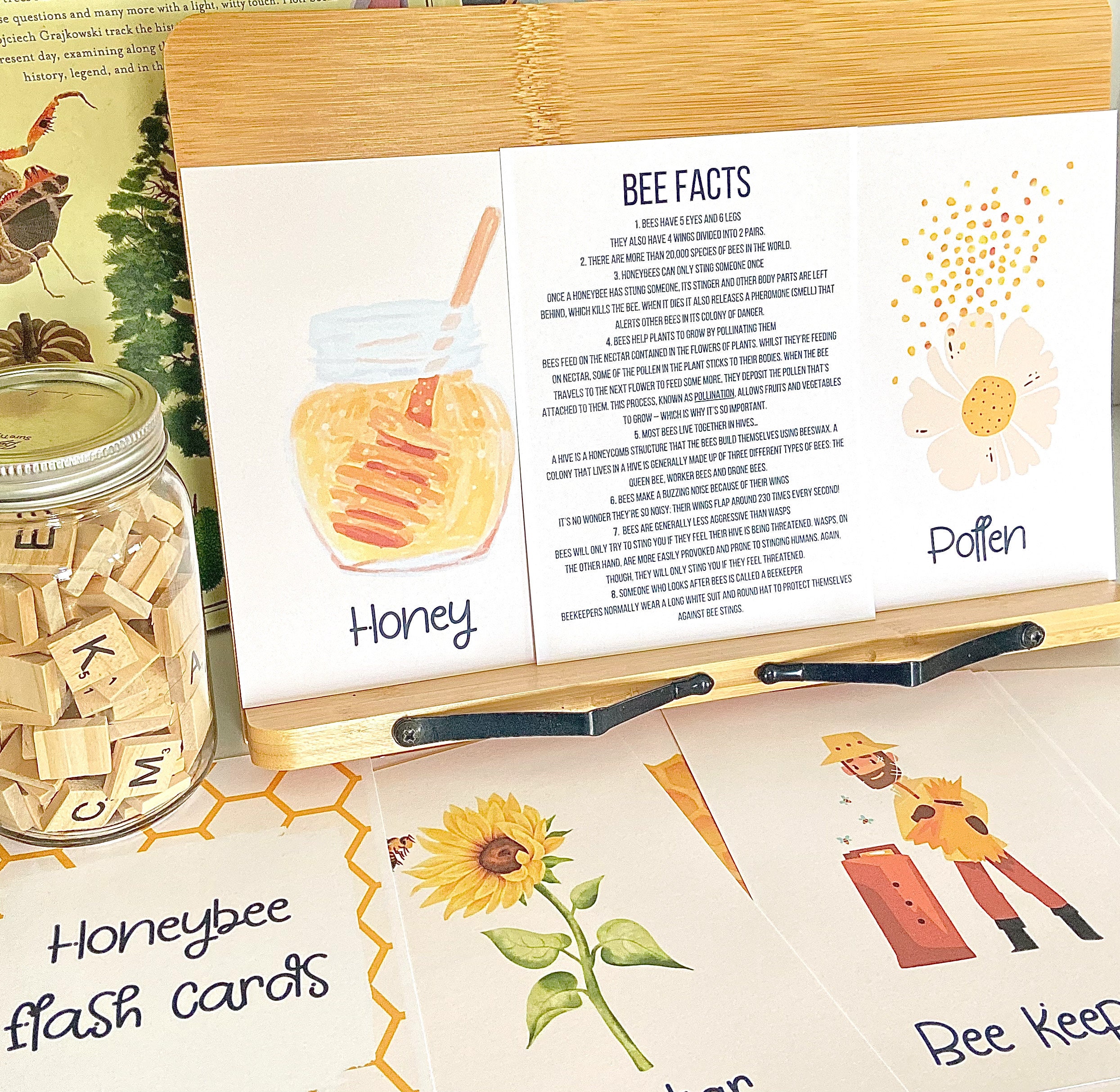 Bee Flashcards Honeybee Flashcards Nature Flashcards Bee Study ...