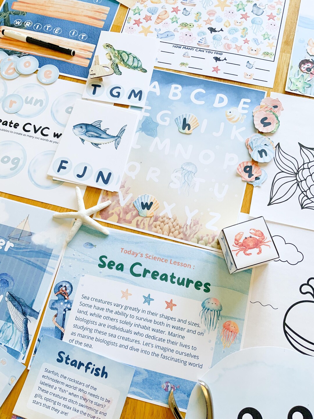 Oceanography Activities | Ocean Unit Study | Sea Animal Unit Study ...