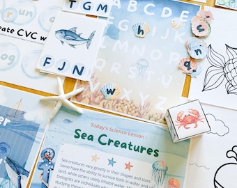 Ocean Activity Pack: Under the Sea Learning (digital Download) - Etsy