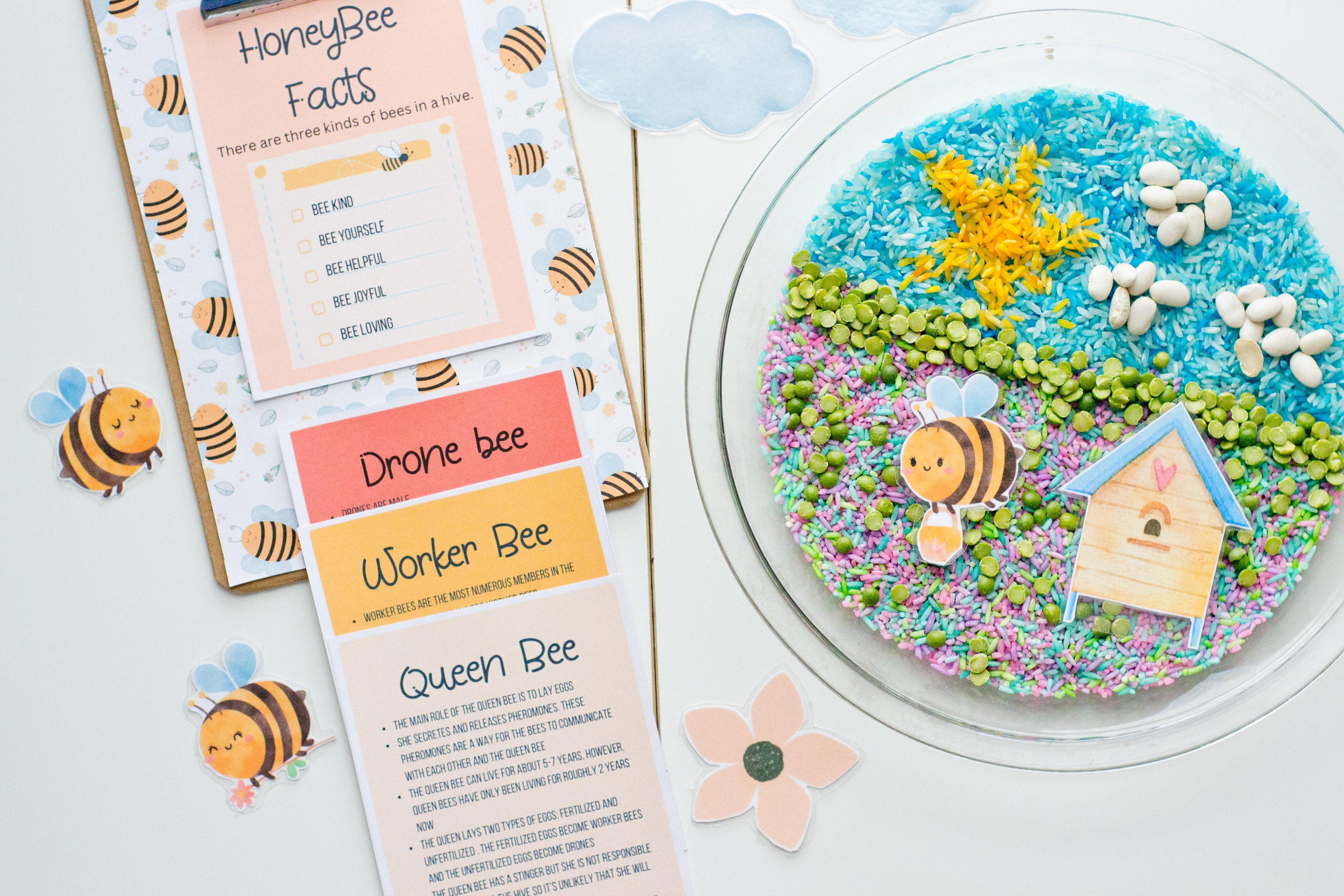 Bee Study Honeybee Study Bee Activities Honeybee Lesson Bee Life Cycle ...