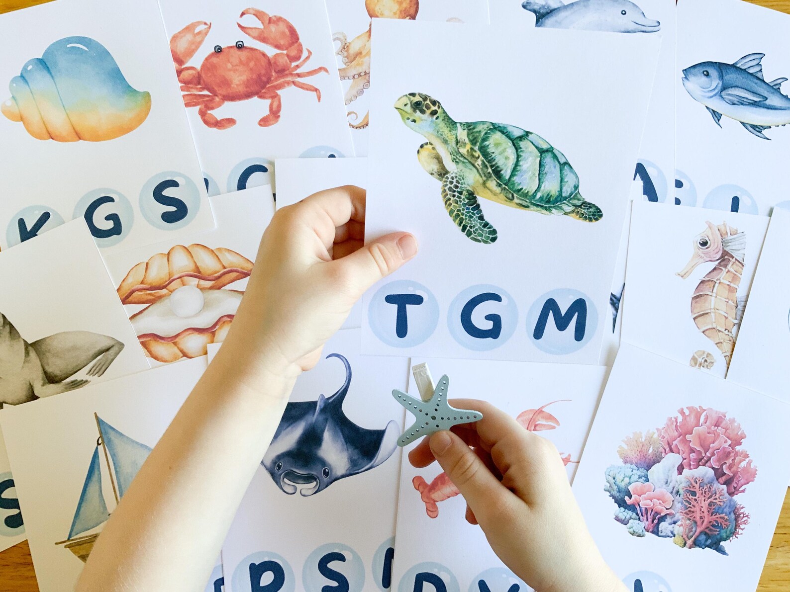 Oceanography Activities | Ocean Unit Study | Sea Animal Unit Study ...