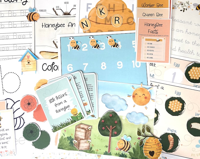 Life Cycle of a Bee- Insect Worksheet - Honeybee Printable - Science ...