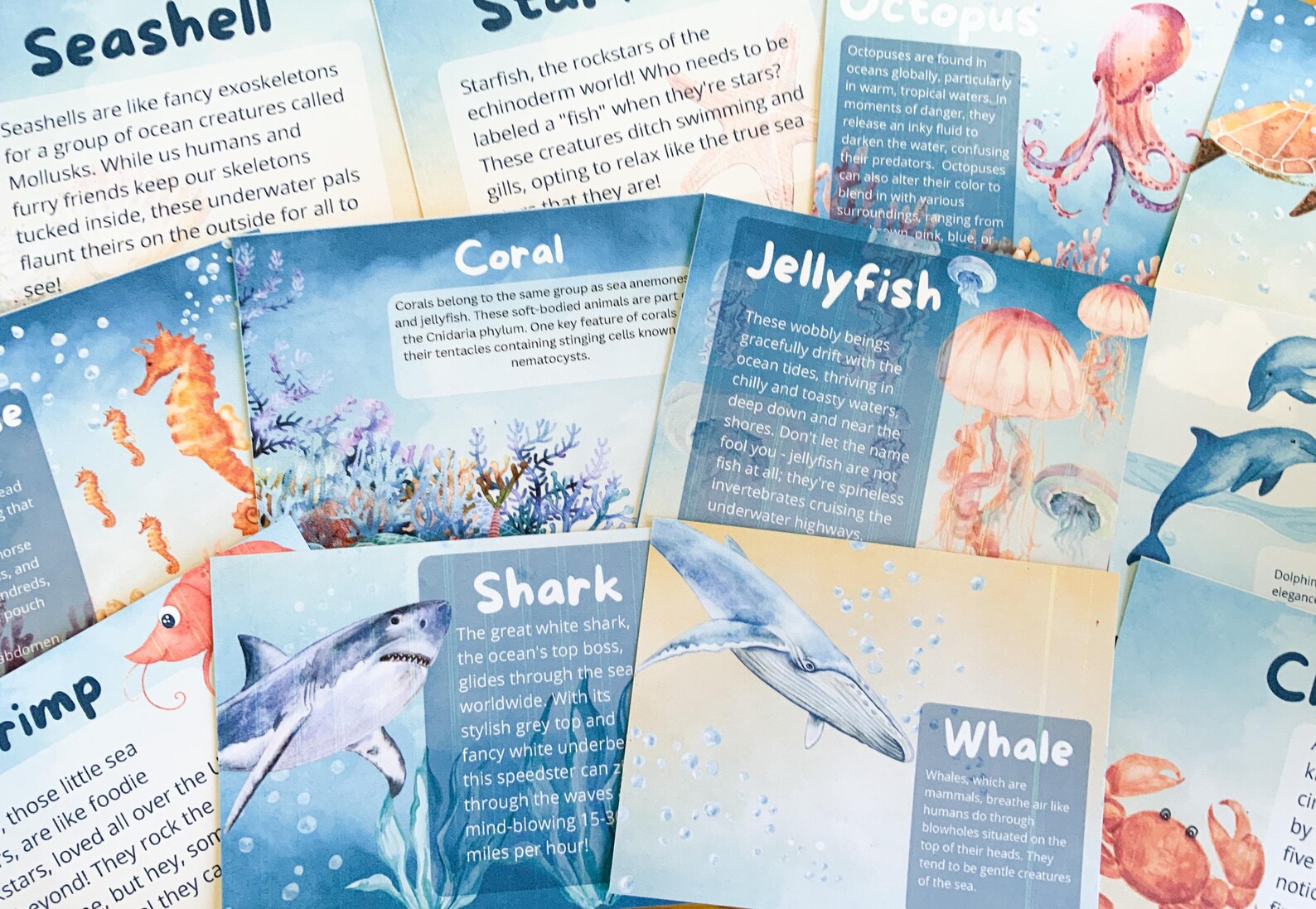 Oceanography Activities | Ocean Unit Study | Sea Animal Unit Study ...