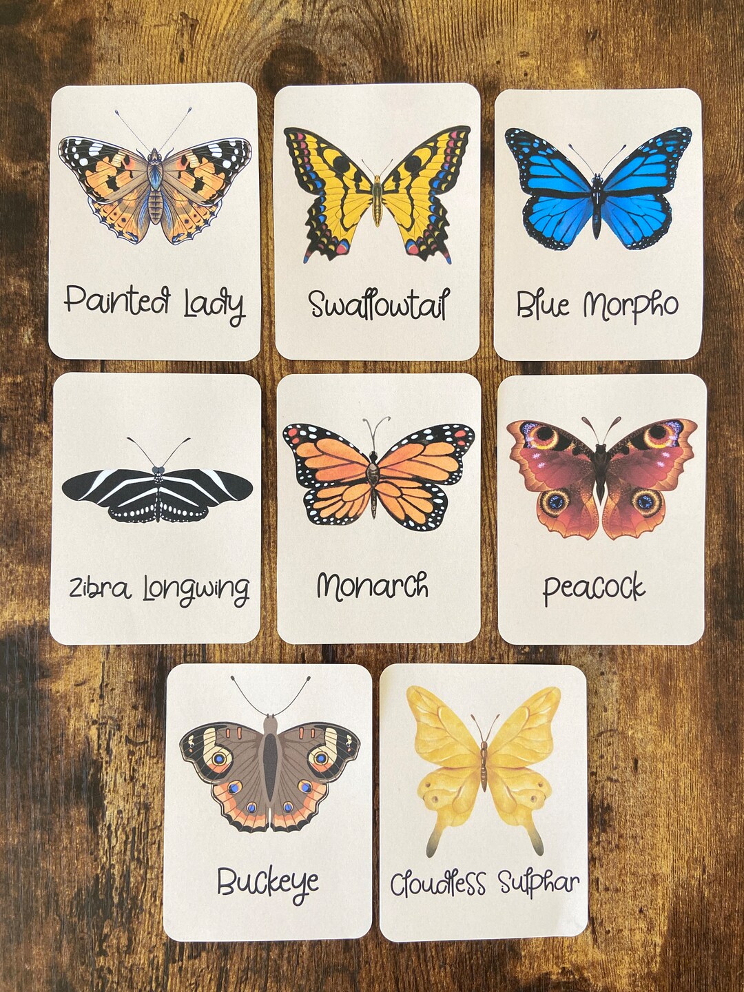 Butterfly Unit Study | Nature Study | Butterfly Life Cycle | Butterfly ...