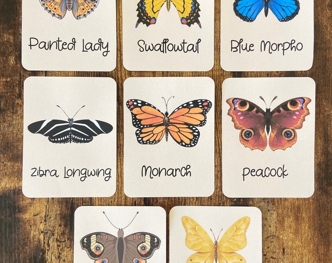Montessori Wooden Butterfly Jigsaw Puzzle/ Wood Anatomy Butterfly/ Life ...