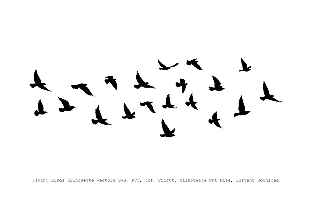 Flying Birds Silhouettes, Clipart, Svg, Digital, Vector. - Etsy