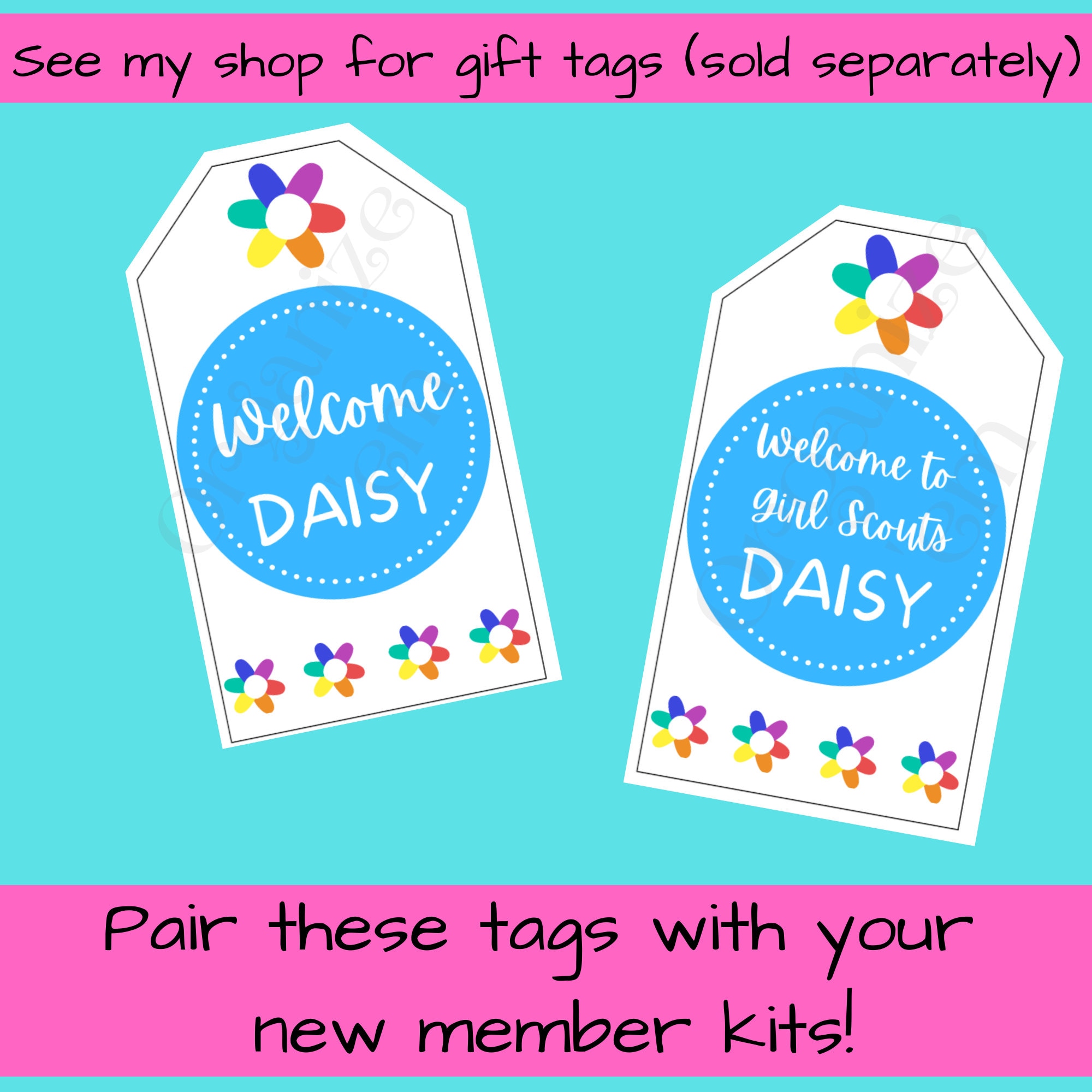 Printable Daisy Girl Scout New Troop Member Kit, New Girl Handouts ...