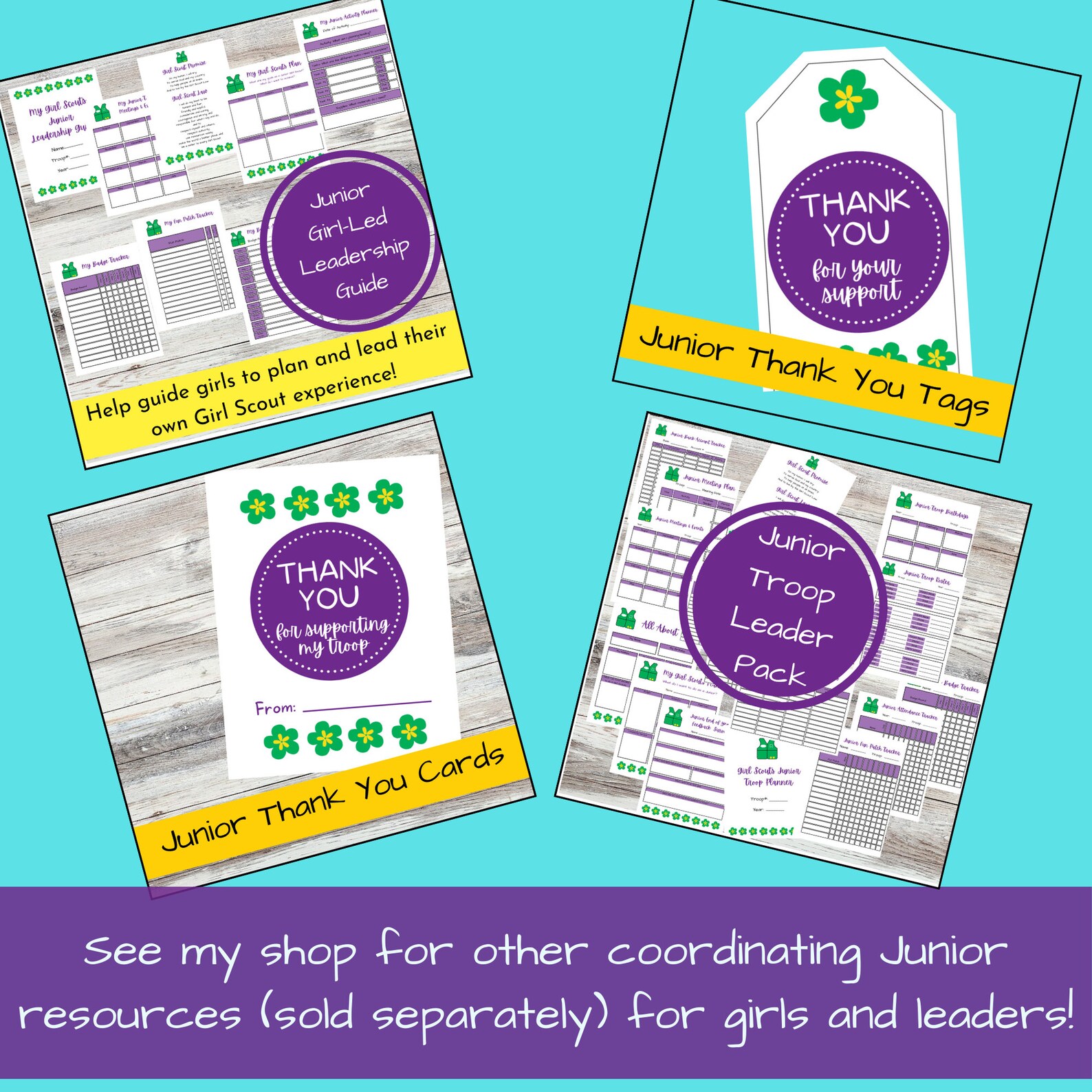 Printable Junior Girl Scout New Troop Member Kit, New Girl Handouts ...