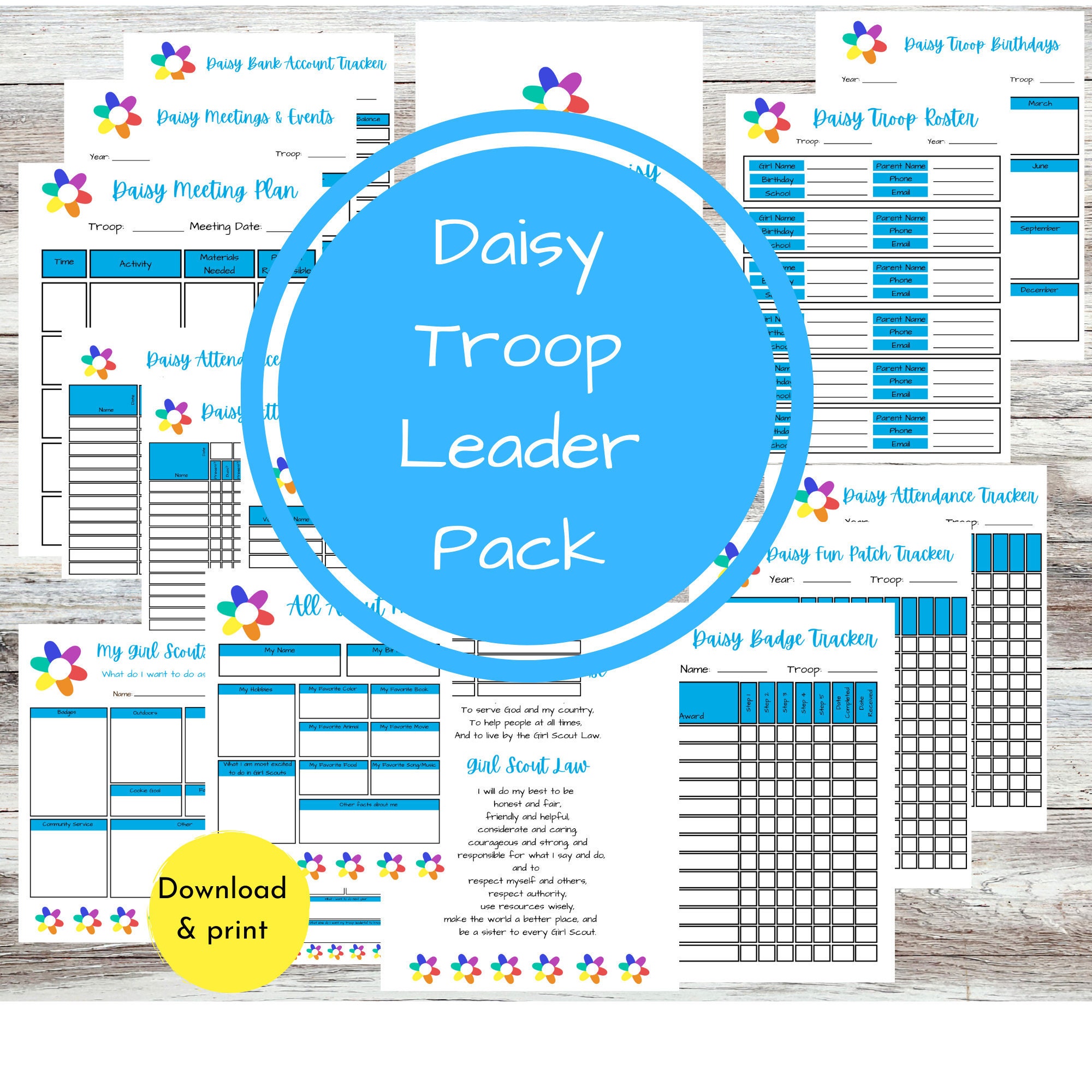 Printable Daisy Girl Scout Troop Leader Planning and Organizing Kit ...