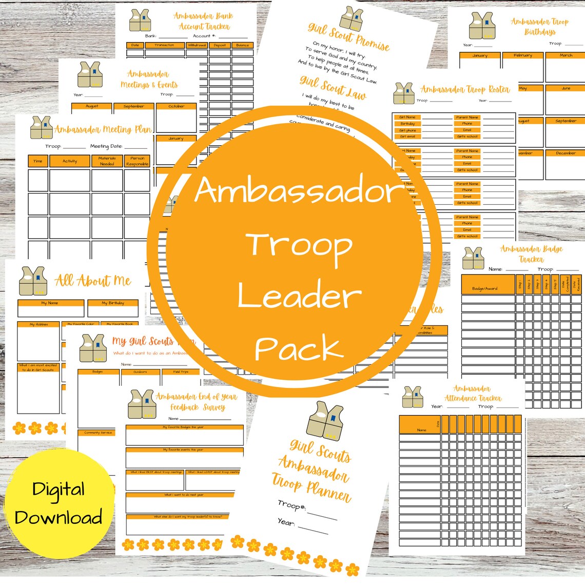 Printable Ambassador Girl Scout Troop Leader Planning and Organizing ...