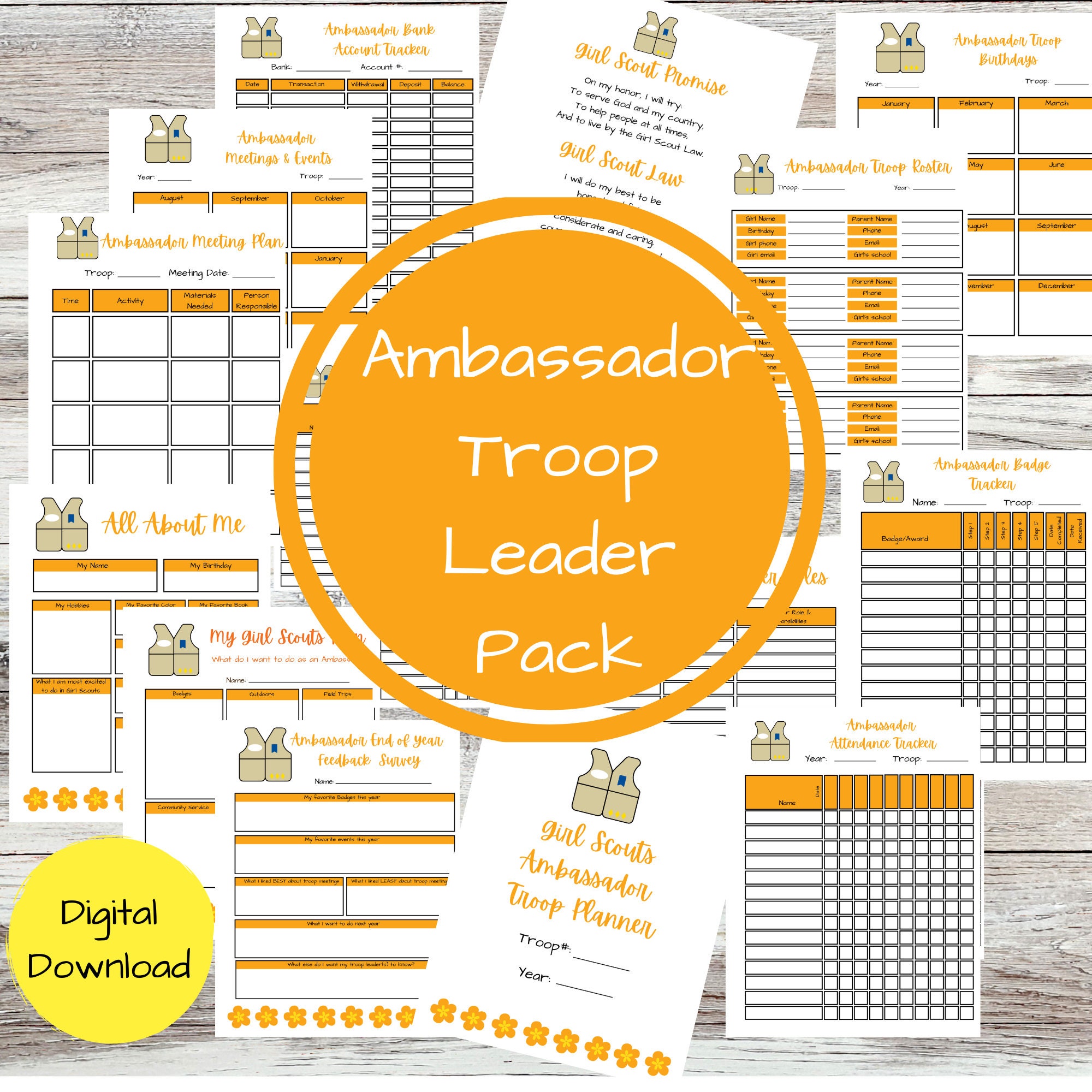 Printable Ambassador Girl Scout Troop Leader Planning and Organizing ...