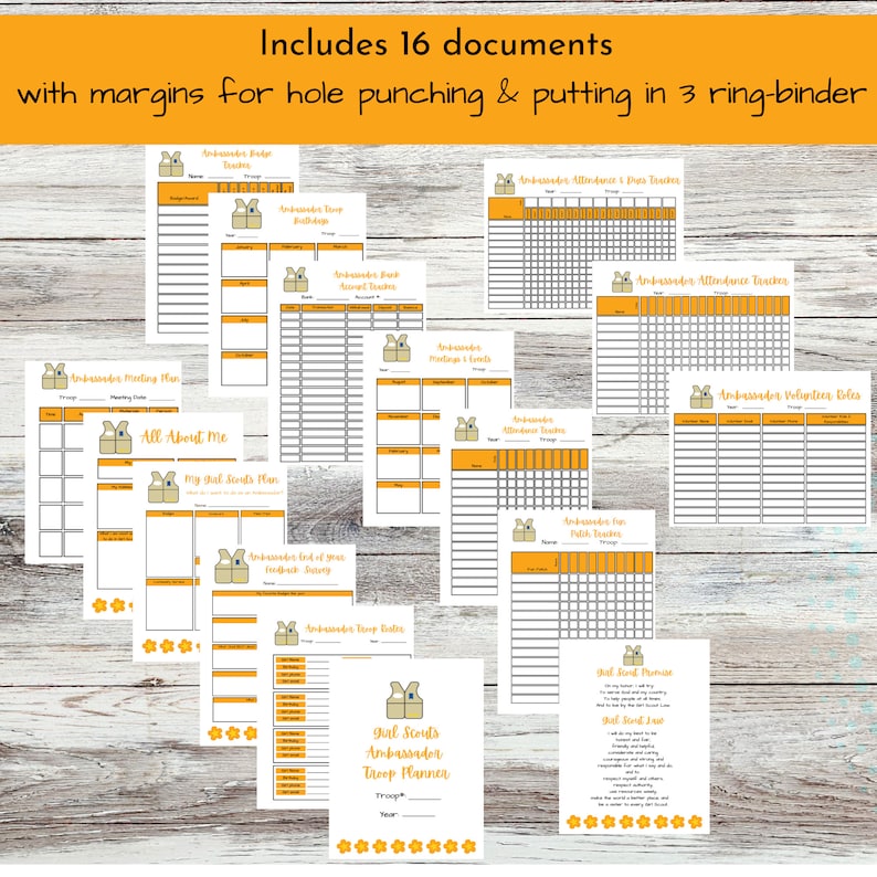 Printable Ambassador Girl Scout Troop Leader Planning and Organizing ...