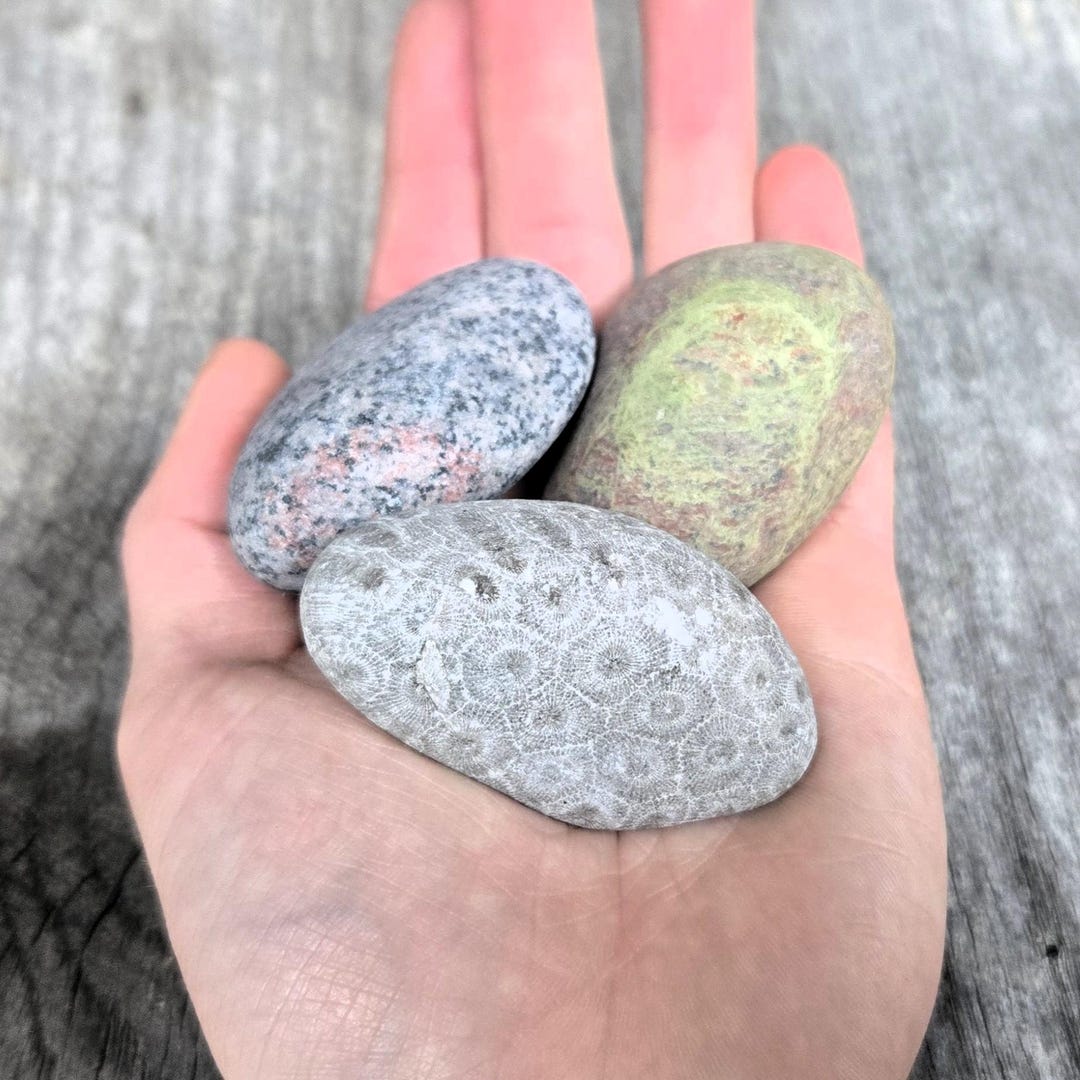 Michigan Rock Set | Petoskey Stone, Unakite, Yooper Stone | All Natural ...