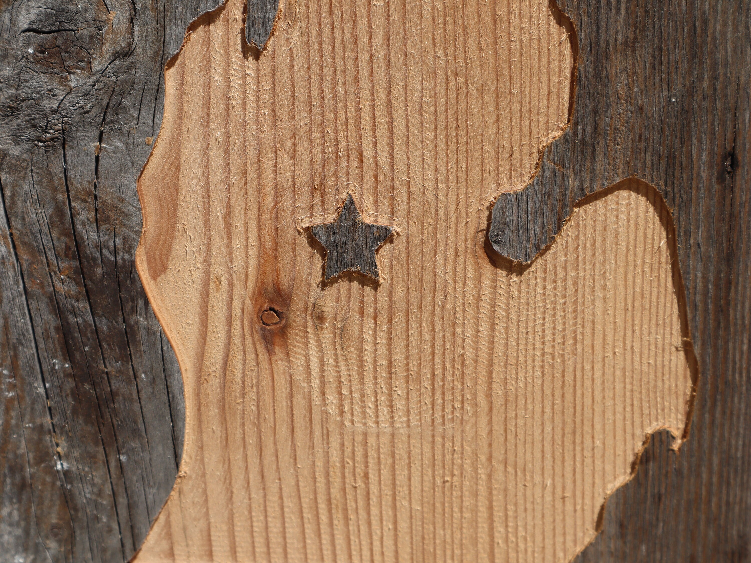 Custom Engraved Barnwood Sign, Family Sign - Etsy