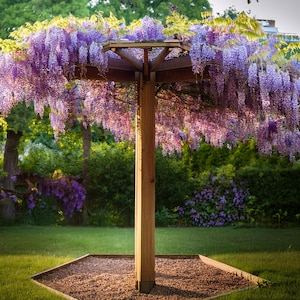 Plans for Amazing Wisteria Umbrella Frame 1.8m X 1.8m Spread 2.4m ...