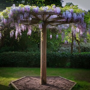 Plans for Amazing Wisteria Umbrella Frame 1.8m X 1.8m Spread 2.4m ...