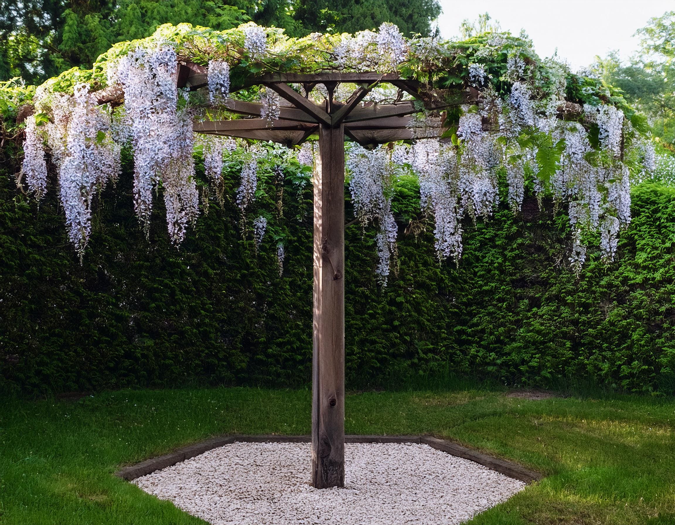 Plans for Amazing Wisteria Umbrella Frame 6ft X 6ft Spread 8ft Height ...