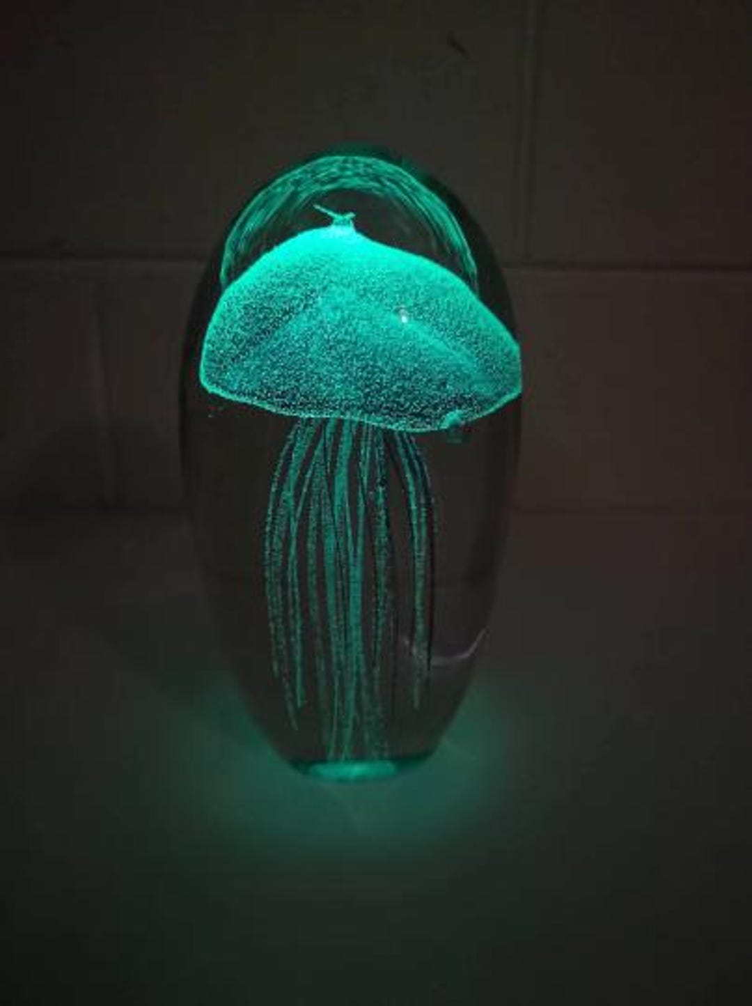 Glow in the Dark Jellyfish, Glow in the Dark Jellyfish Tabletop, Unique ...