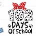 102 Days of School Svg, Dalmatian Svg, 102 Days of School Dalmatian Svg ...