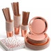 250 Pcs Rose Gold Party Tableware Set Including Paper Plate - Etsy