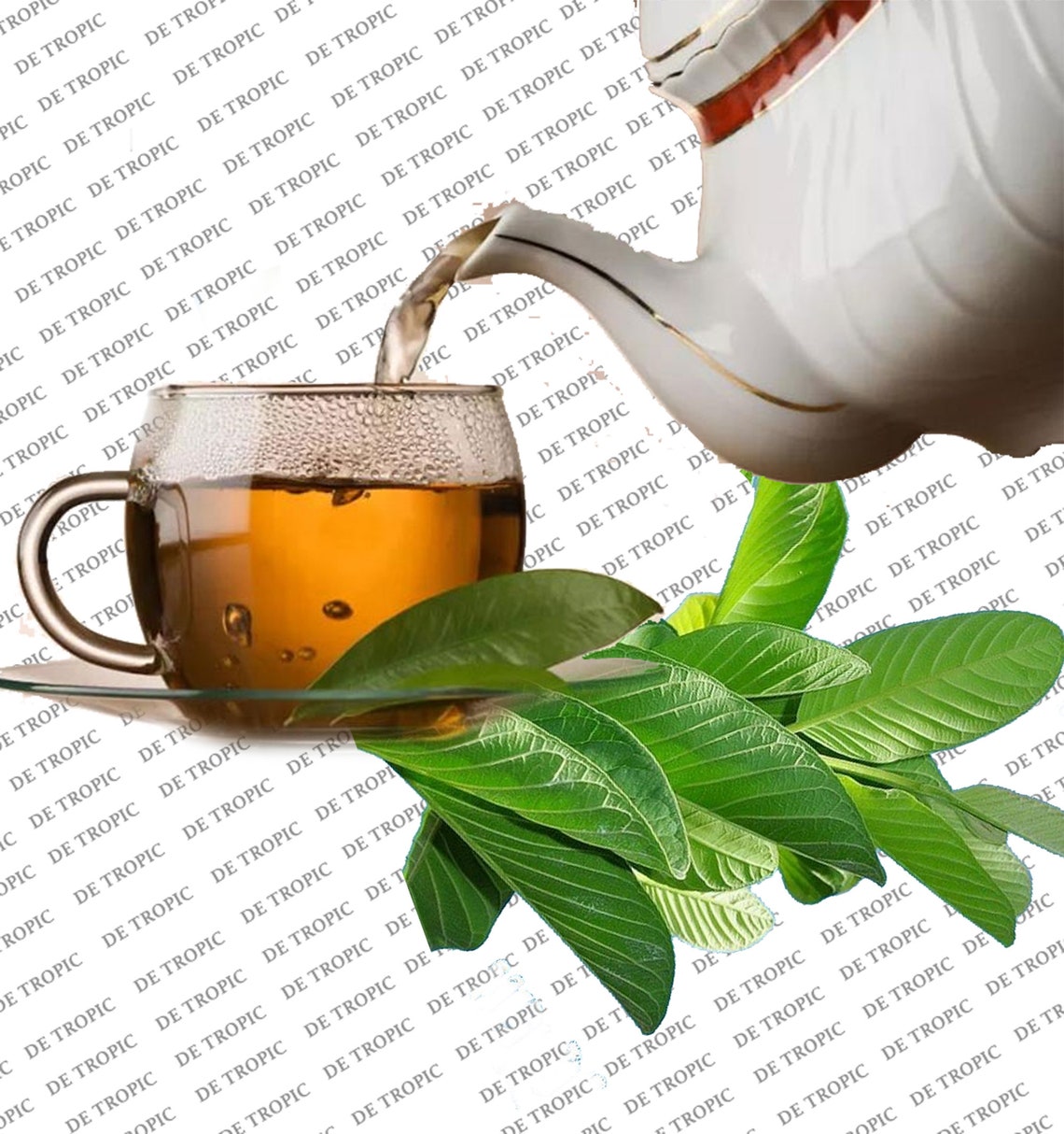 D Detropic Guava Leaf Tea Cuts-antioxidants Rich refreshing & Relaxing ...