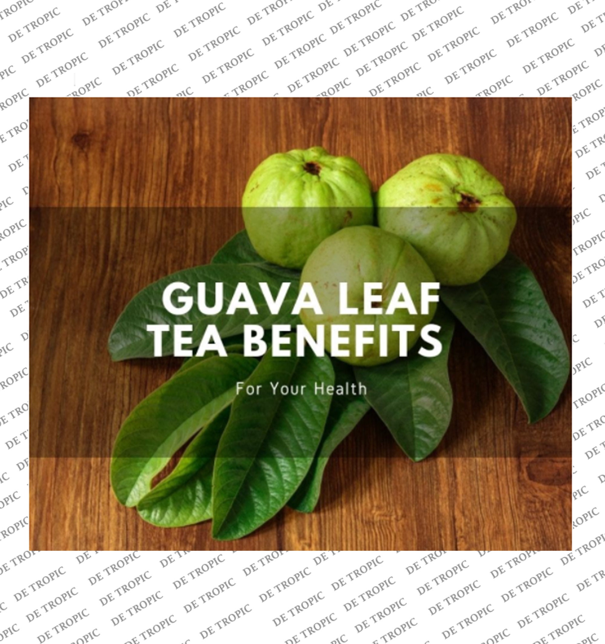 D Detropic Guava Leaf Tea Cuts-antioxidants Rich refreshing & Relaxing ...