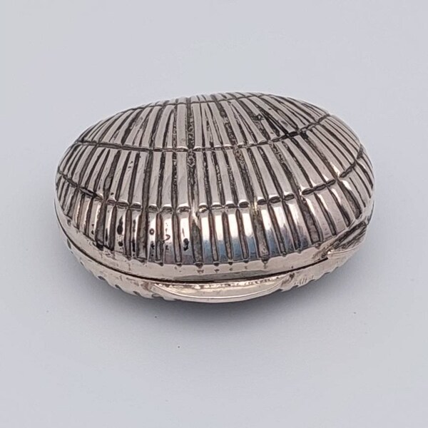 Shell Pill Box - Etsy