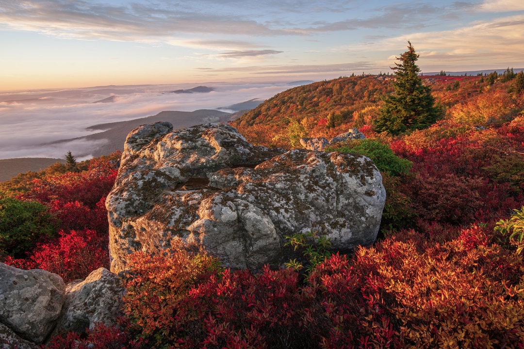 West Virginia Photography Prints Autumn in the Dolly Sods Wilderness ...