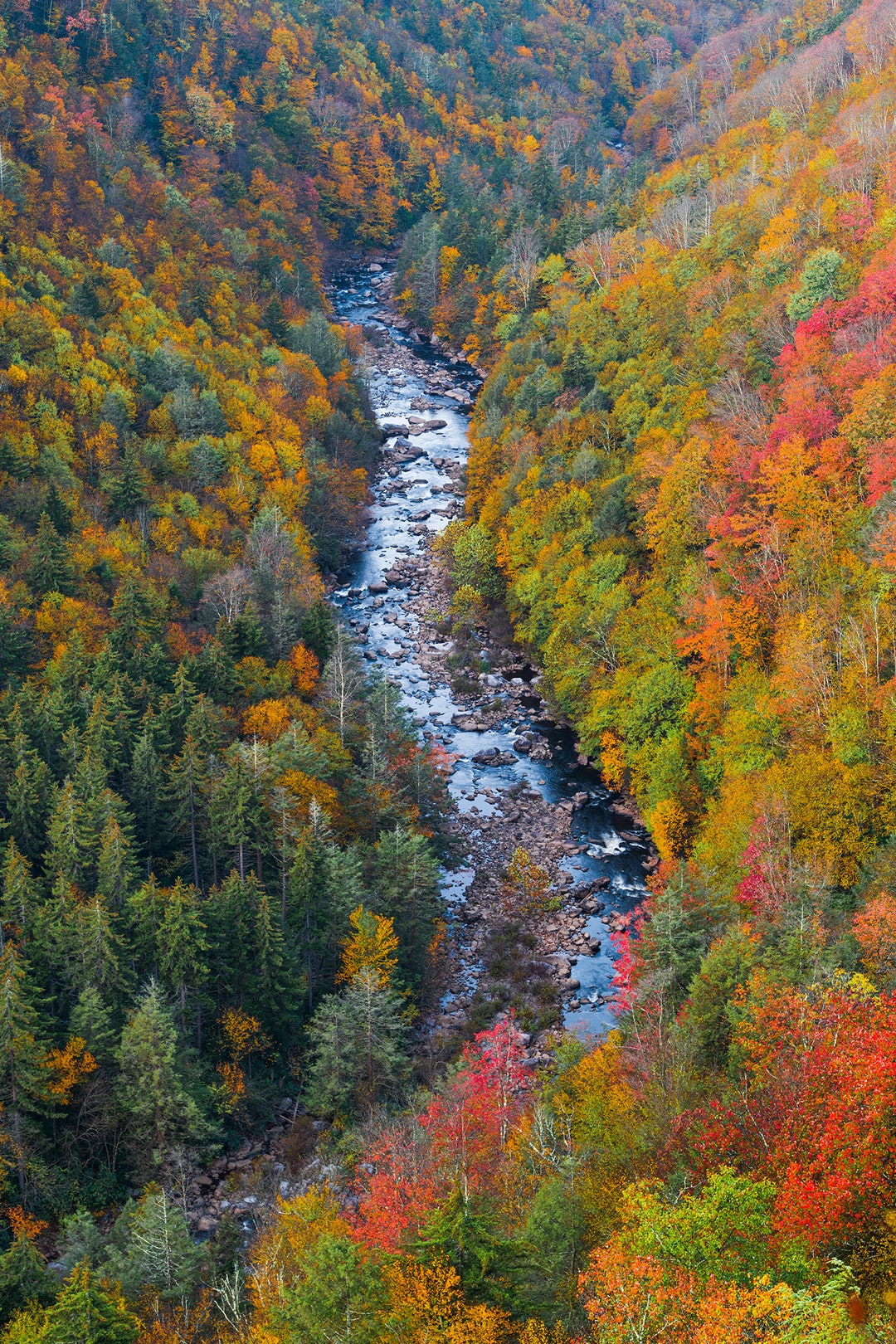 West Virginia Photography Prints Autumn in the Blackwater Canyon ...