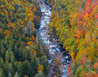 West Virginia Photography Prints Autumn in the Dolly Sods Wilderness ...