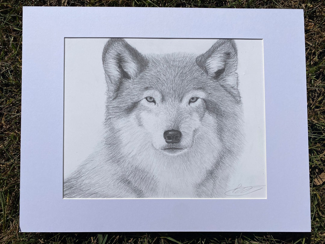 Wolf Graphite Pencil Drawing - Etsy