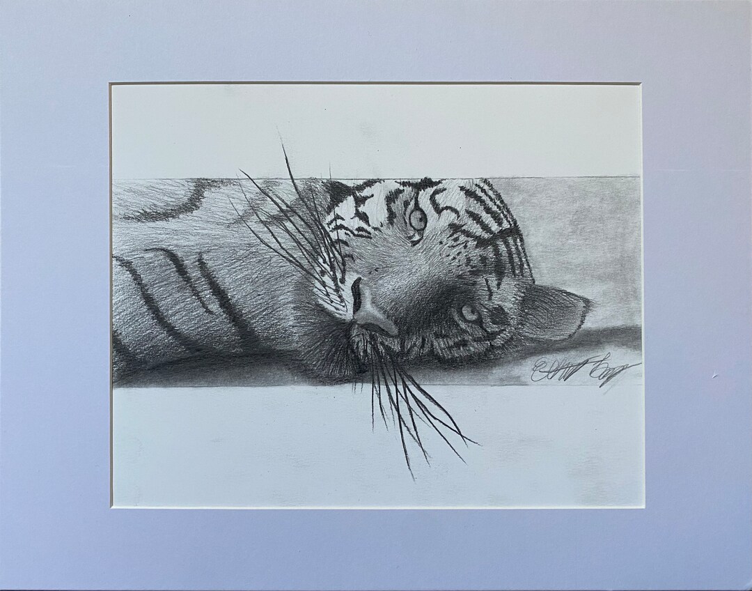 Lying Tiger Graphite Pencil Drawing - Etsy