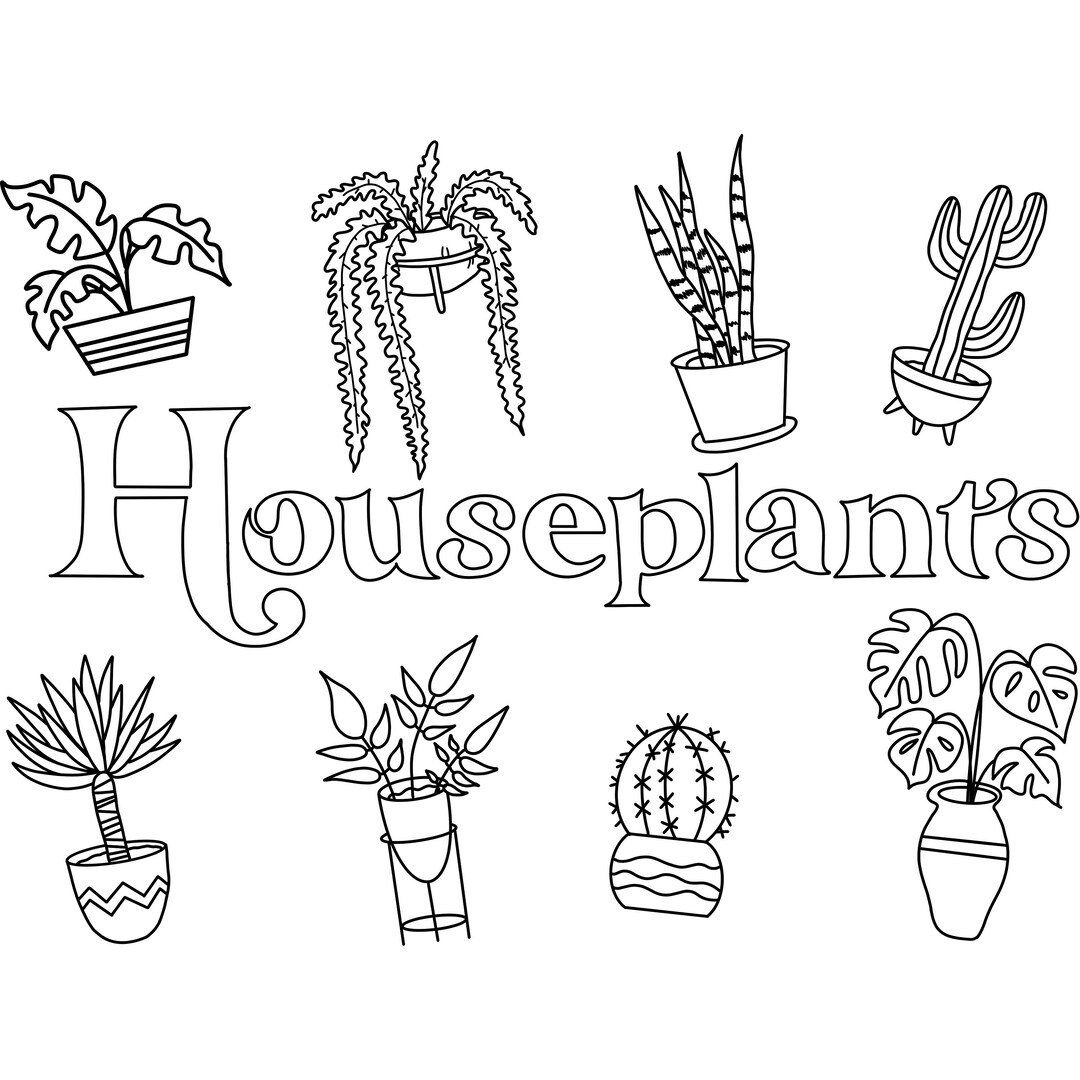Houseplants Digital Coloring Page - Etsy