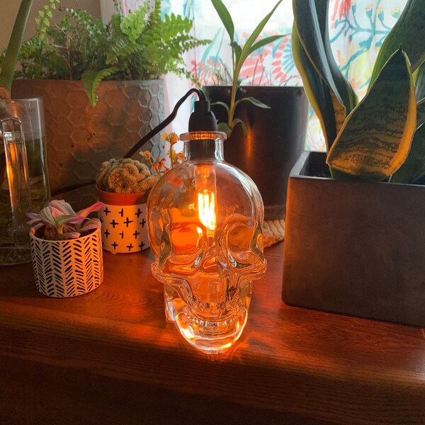 Skull Lamp - Etsy