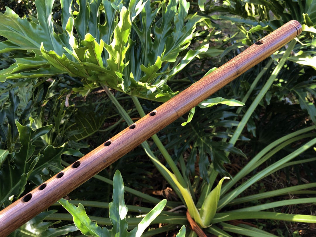 Transverse Flute Granadillo Rosewood G Major Gentle Winds Flutes - Etsy