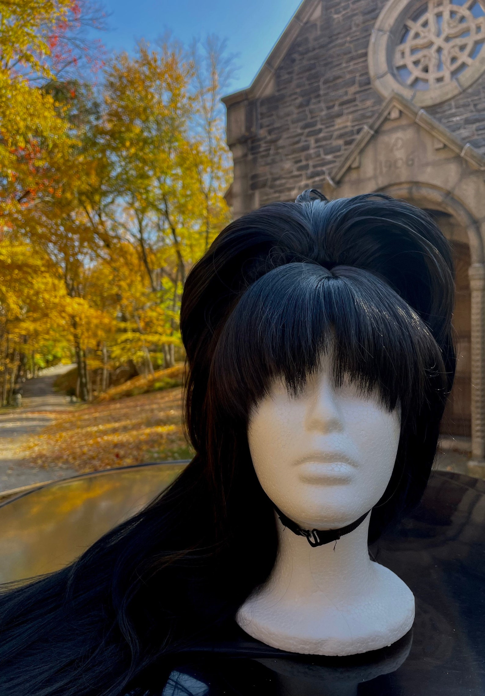 Elvira Vampire Wig - Etsy