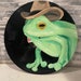 Vintage Record Vinyl Records LP Art Frogs Froggy Frog - Etsy