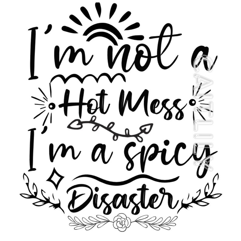 PNG SVG DXF Hot Mess Vs Spicy Disaster - Etsy