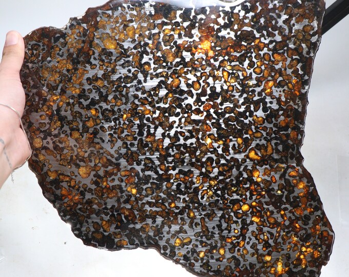 Pallasite Meteorite Slice, 831g Kenyan Meteorite Slice, From Kenya ...